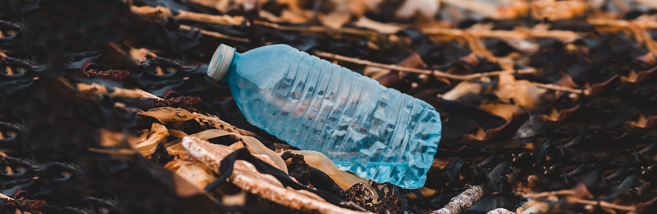 SINGLE USE PLASTIC RESTRICTIONS - REPAQ - Packaging consulting